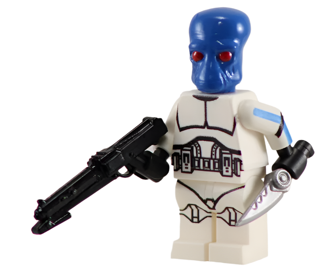 Cad Ban Trooper - BigKidBrix Custom Printed Minifig – BRICK STORE